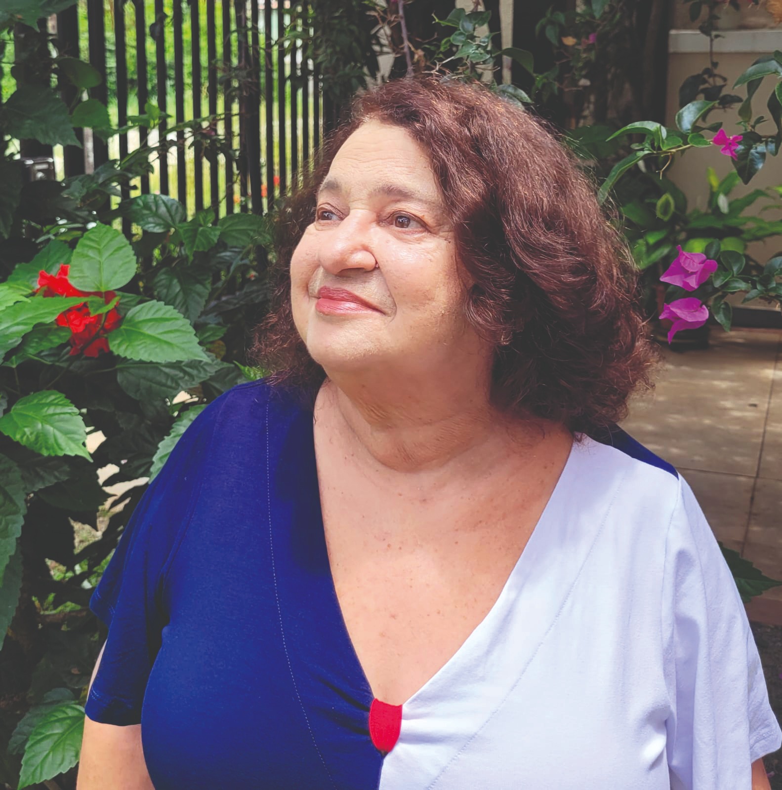 DEZ CONTOS DE REIS: Sonia Maria Mazzei lança, no próximo dia 19 de ...